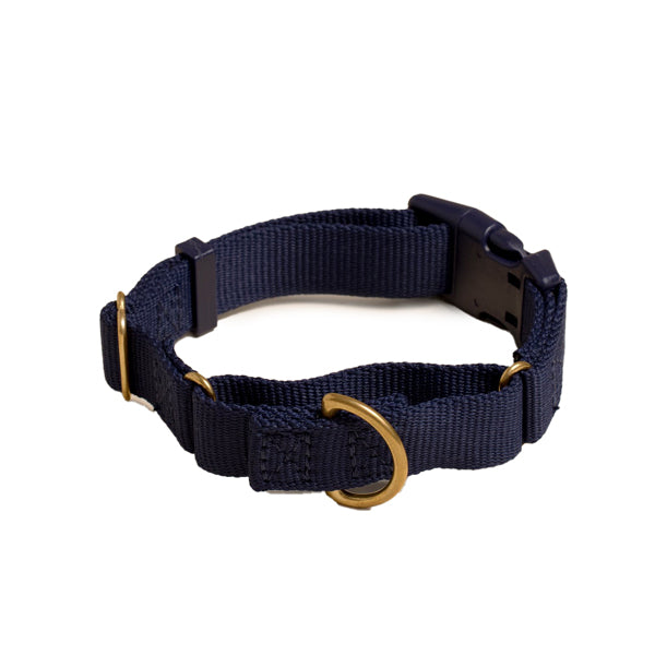 Awoo Pets Marty Dog Collar | EarthHero
