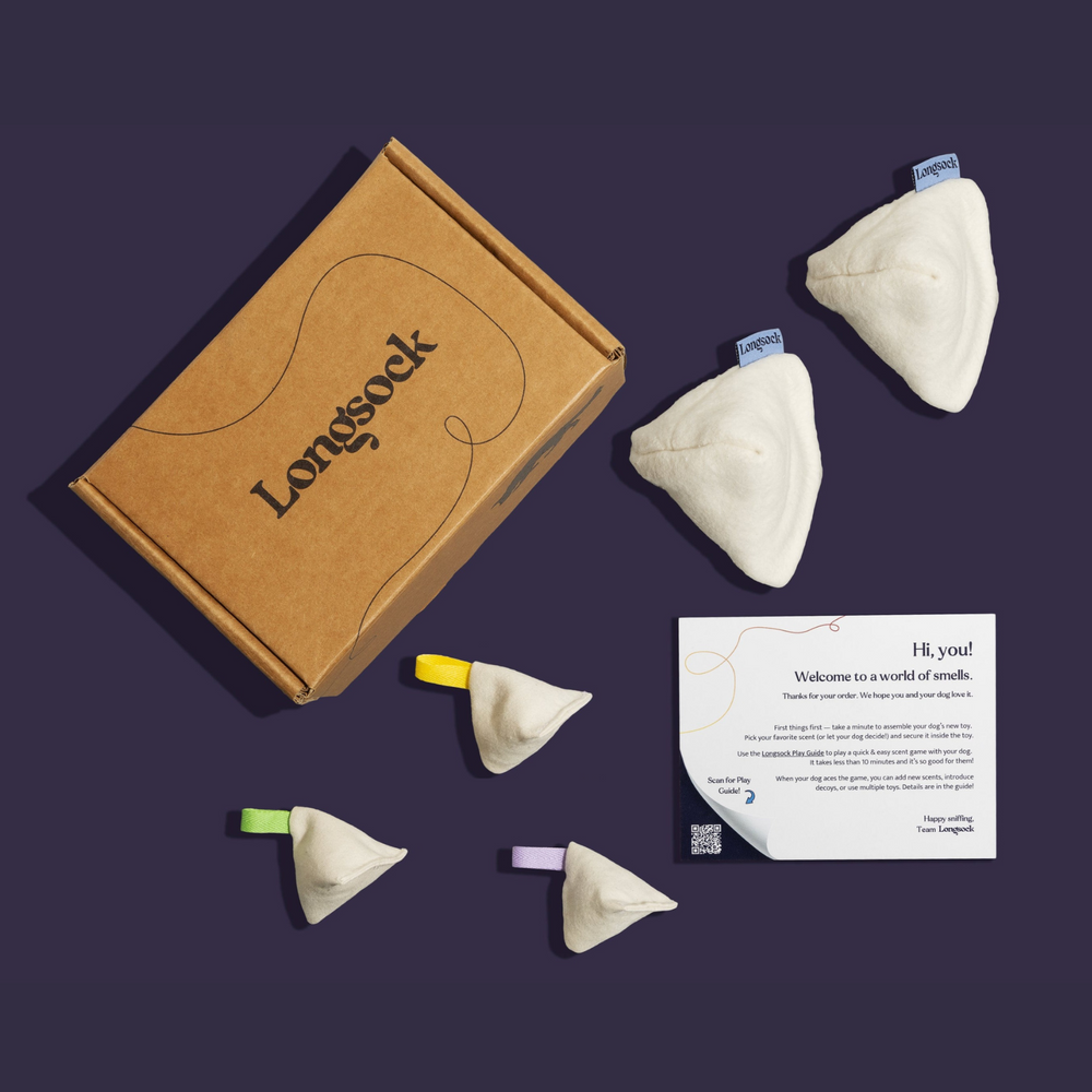 Longsock Essentials Scent Training Kit for Dogs | EarthHero