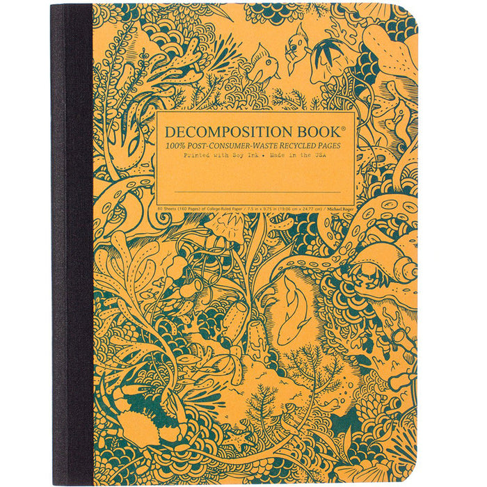 Decomposition Ruled Decomposition Notebook | EarthHero