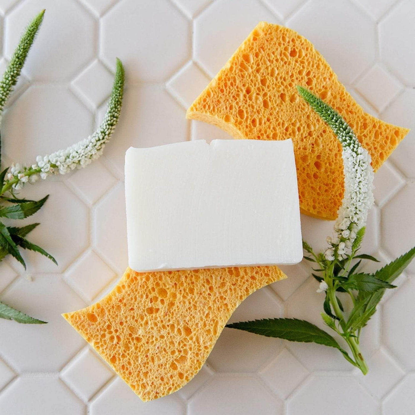 No Tox Life Dish Washing Block - Dish Soap Bar - No Tox Life | EarthHero