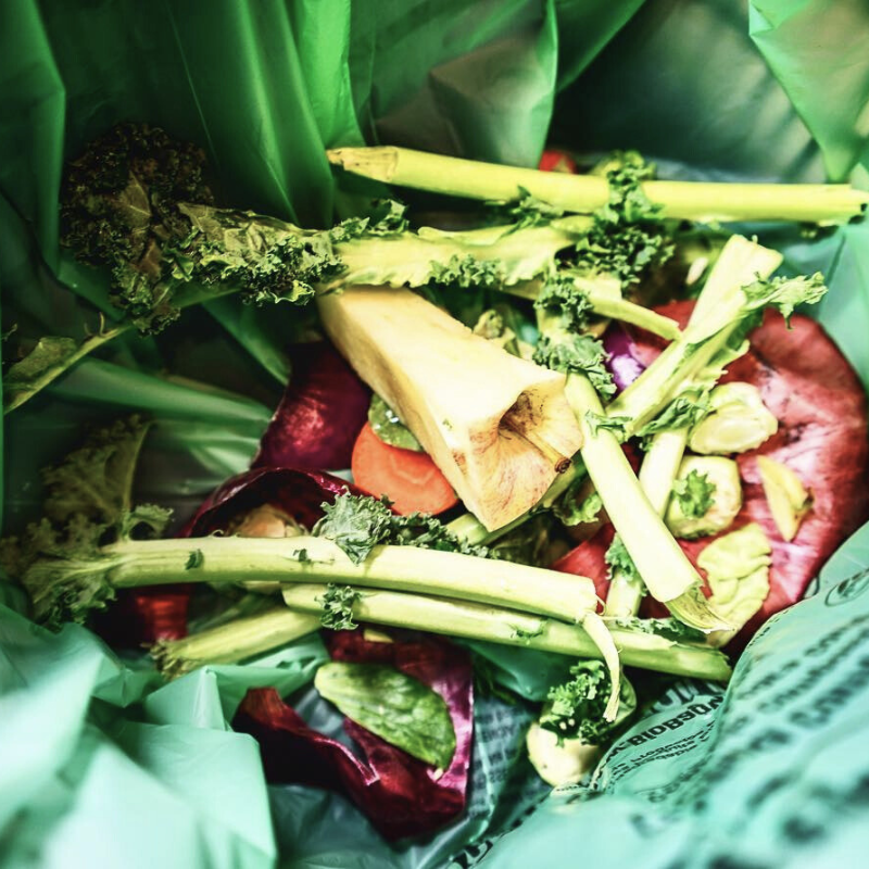 Compost Supplies | Shop Eco-Friendly on EarthHero