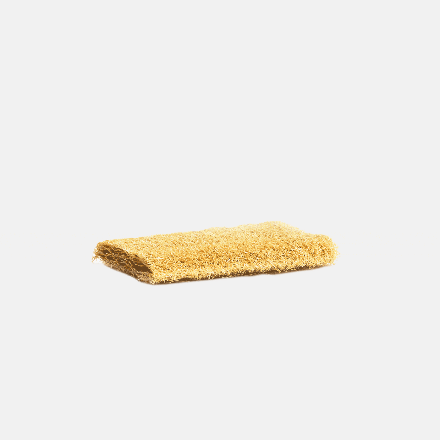 ZWS Essentials Loofah Sponge - Natural Loofah - Zero Waste Loofah ...