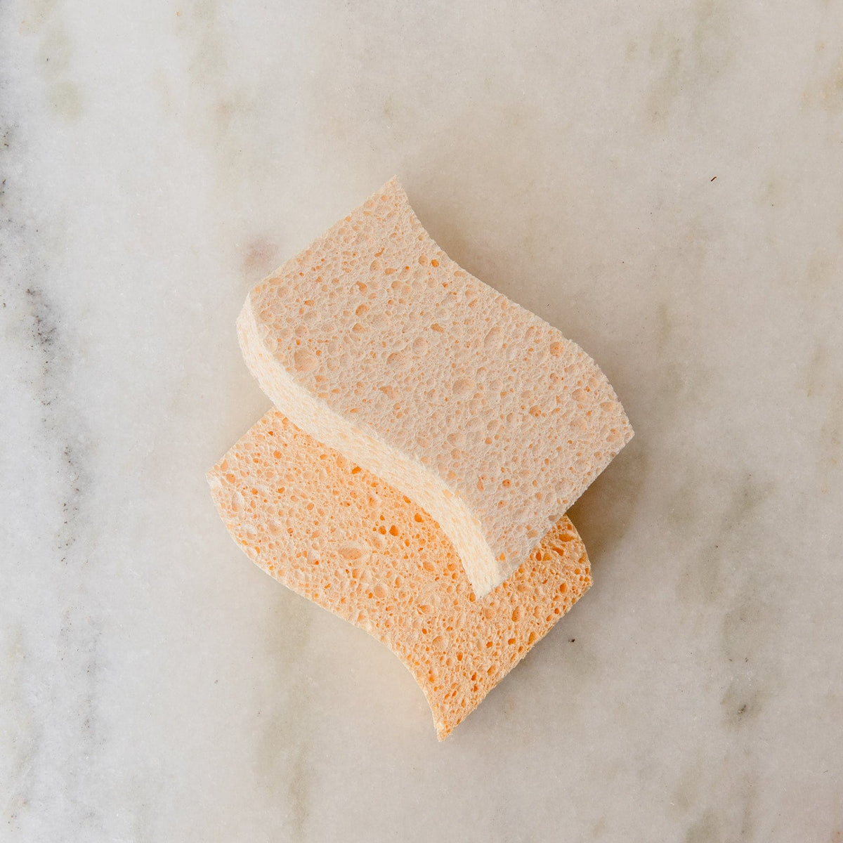 ZWS Essentials Biodegradable Kitchen Sponges | EarthHero